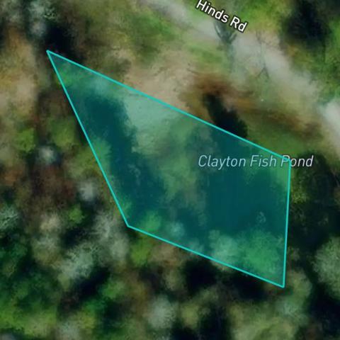 Fishing at Clayton Fish Pond, Alabama → Explore Fishing Spots & Catches