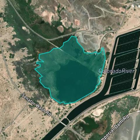 Fishing at IID Imperial Dam Substation