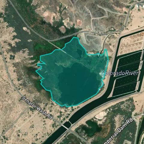 Fishing at IID Imperial Dam Substation, California → Explore Fishing ...
