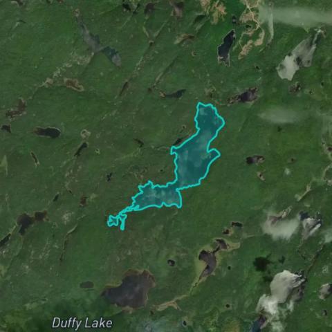 Fishing at Upper Duffy Lake, Ontario → Explore Fishing Spots & Catches