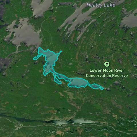 Fishing at Moon River, Ontario → Explore Fishing Spots & Catches