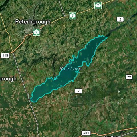 Fishing at Rice Lake, Ontario → Explore Fishing Spots & Catches