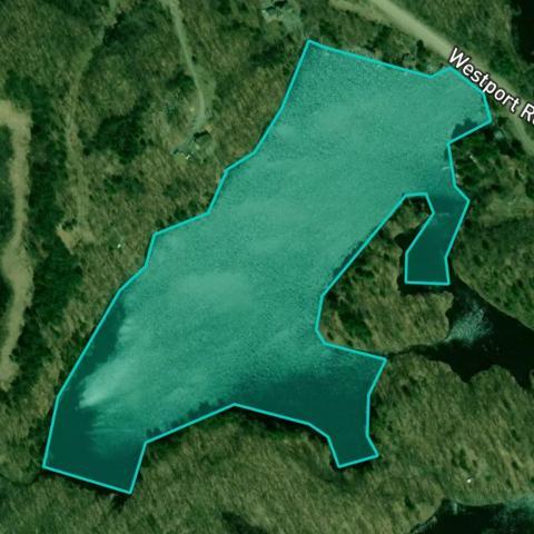 Fishing at Fermoy Lake, Ontario → Explore Fishing Spots & Catches