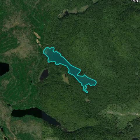 Fishing at Lac Rama, Québec → Explore Fishing Spots & Catches