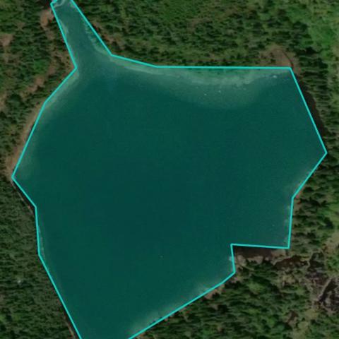 Fishing at Lac de la Savane, Québec → Explore Fishing Spots & Catches
