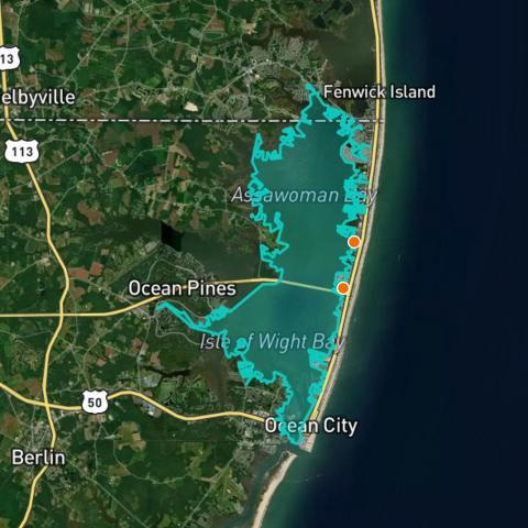 Fishing at Assawoman Bay, Maryland → Explore Fishing Spots & Catches