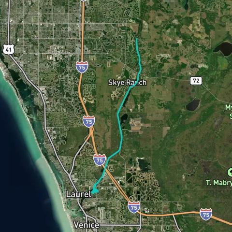 Fishing at Cow Pen Slough Canal, Florida → Explore Fishing Spots & Catches