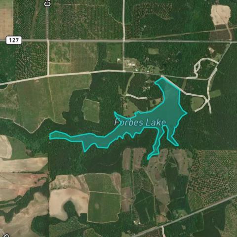 Fishing at Forbes Lake, Georgia → Explore Fishing Spots & Catches