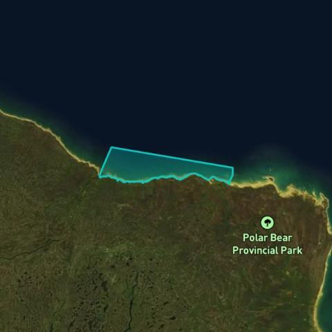 Fishing at Hudson Bay → Explore Fishing Spots & Catches