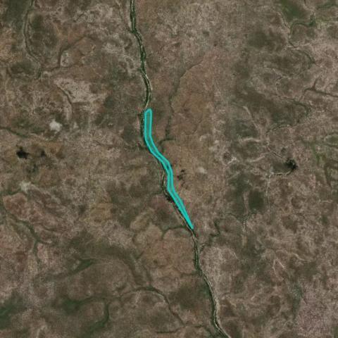 Fishing at Coleman River, Queensland → Explore Fishing Spots & Catches