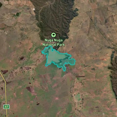 Fishing at Lake Nuga Nuga, Queensland → Explore Fishing Spots & Catches