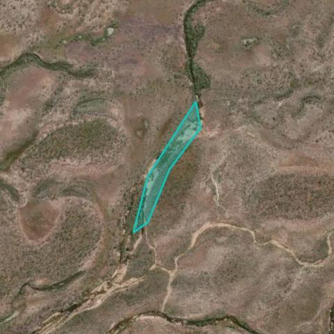 Fishing at Edward River, Queensland → Explore Fishing Spots & Catches