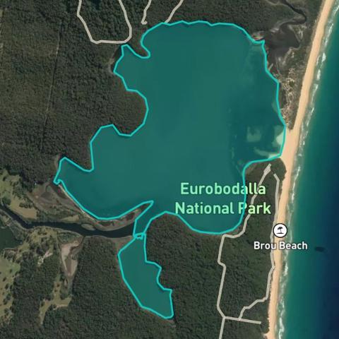 Fishing at Lake Brou → Explore Fishing Spots & Catches
