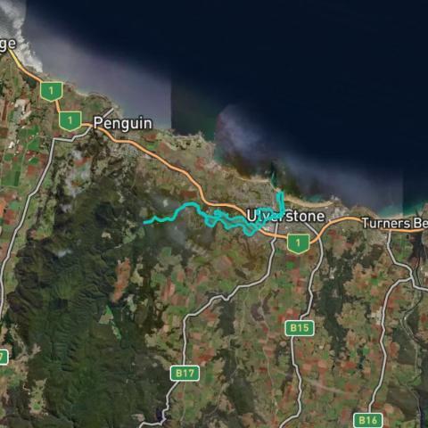 Fishing at River Leven, Tasmania → Explore Fishing Spots & Catches