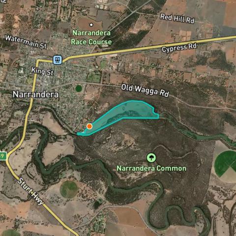 Fishing at Lake Talbot , New South Wales → Explore Fishing Spots & Catches