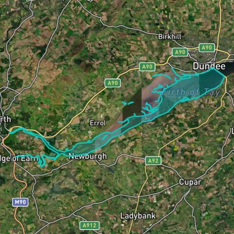 Fishing at River Tay → Explore Fishing Spots & Catches