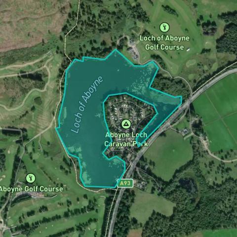Fishing at Loch of Aboyne → Explore Fishing Spots & Catches