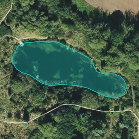 Fishing at Red Hall Nature Reserve Pond → Explore Fishing Spots & Catches