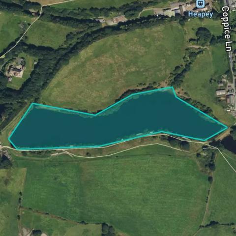 Fishing at Causeway House Farm Pond → Explore Fishing Spots & Catches