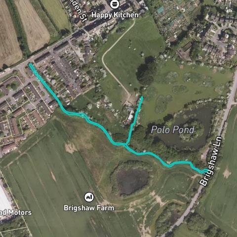 Fishing at Kippax Beck → Explore Fishing Spots & Catches