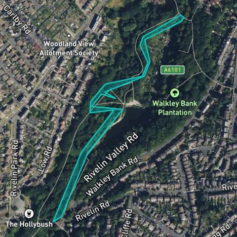Fishing at River Rivelin → Explore Fishing Spots & Catches