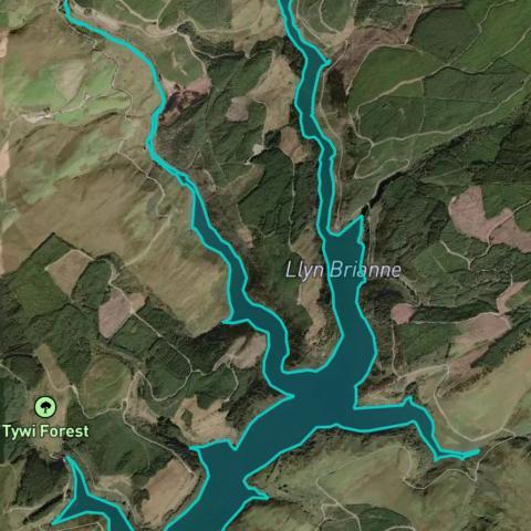 Fishing at Llyn Brianne Reservoir → Explore Fishing Spots & Catches