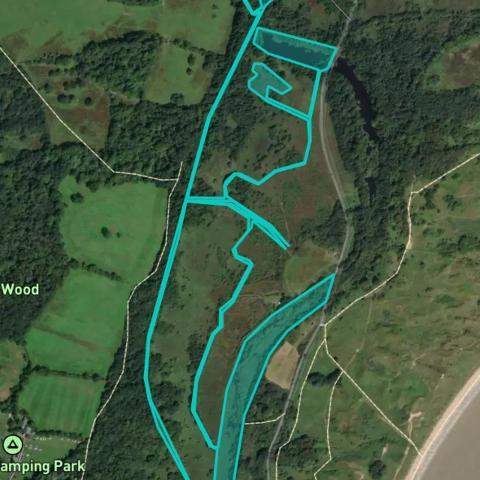 Fishing at Penrice Castle Lake → Explore Fishing Spots & Catches