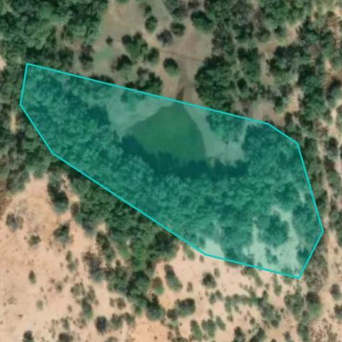 Fishing at Bordo Chico, Sonora → Explore Fishing Spots & Catches