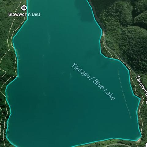 Fishing at Lake Tikitapu (Blue Lake), Bay of Plenty → Explore Fishing ...