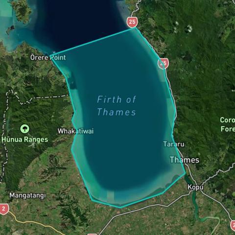 Fishing at Firth of Thames → Explore Fishing Spots & Catches