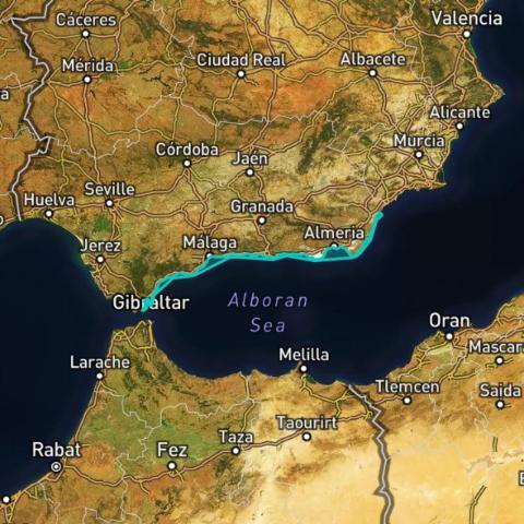 Fishing at Alboran Sea → Explore Fishing Spots & Catches