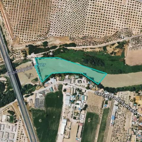Fishing at Embalse de Mengíbar, Andalucía → Explore Fishing Spots & Catches