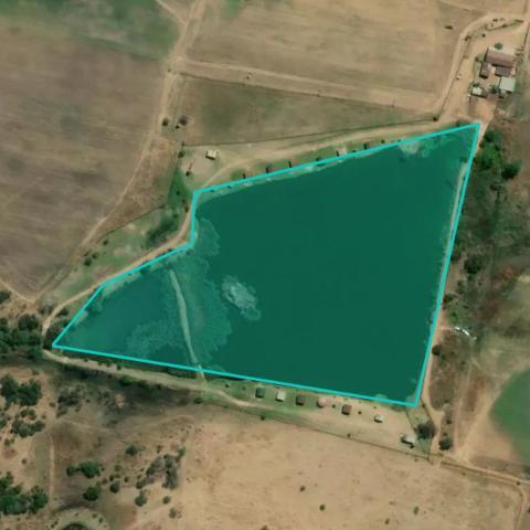 Fishing at Betsaida Dam, Gauteng → Explore Fishing Spots & Catches