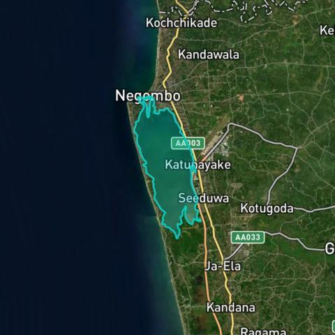 Fishing at Negombo Lagoon, Gampaha → Explore Fishing Spots & Catches