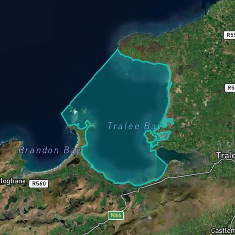 Fishing at Outer Tralee Bay → Explore Fishing Spots & Catches