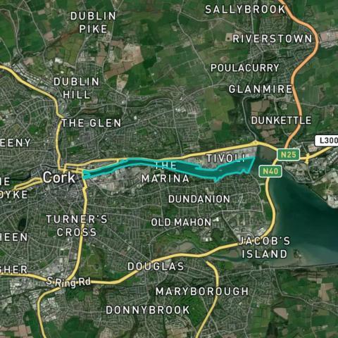 Fishing at Lee (Cork) Estuary Lower → Explore Fishing Spots & Catches