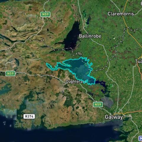 Fishing at Corrib Upper (Lough), Connacht → Explore Fishing Spots & Catches