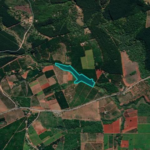 Fishing at Unnamed / R524 Pond, Limpopo → Explore Fishing Spots & Catches