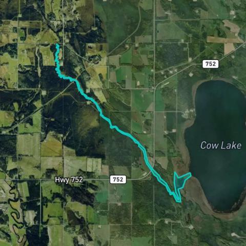 Fishing at Cow Lake Stream → Explore Fishing Spots & Catches