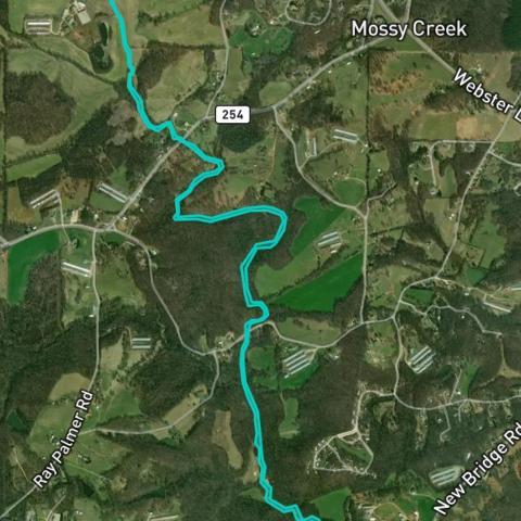 Fishing at Mossy Creek → Explore Fishing Spots & Catches