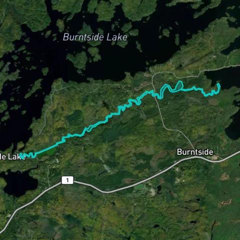 Fishing at Burntside River, Minnesota → Explore Fishing Spots & Catches