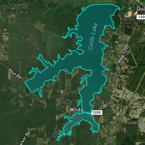 Fishing at Cotile Lake, Louisiana → Explore Fishing Spots & Catches
