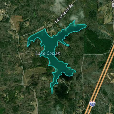 Fishing at Lake Copiah, Mississippi → Explore Fishing Spots & Catches