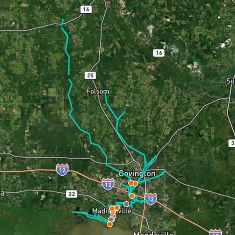 Fishing at Tchefuncte River, Louisiana → Explore Fishing Spots & Catches