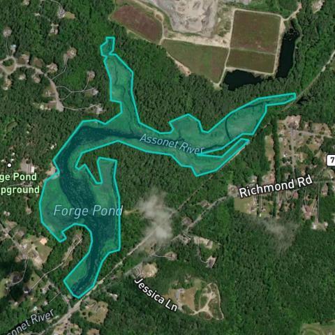 Fishing at Forge Pond, Massachusetts → Explore Fishing Spots & Catches