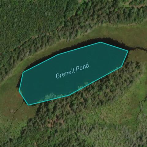 Fishing at Grenell Pond, Maine → Explore Fishing Spots & Catches