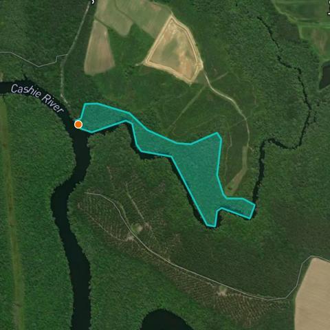 Fishing at Cashie River, North Carolina → Explore Fishing Spots & Catches