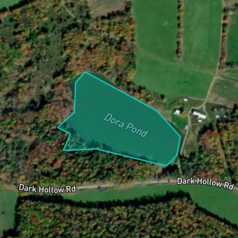Fishing at Dora Pond, Pennsylvania → Explore Fishing Spots & Catches