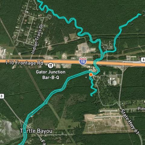 Fishing at Turtle Bayou, Texas → Explore Fishing Spots & Catches