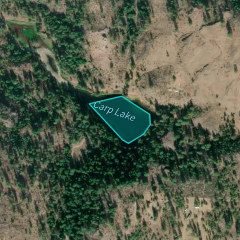 Fishing at Carp Lake, Washington → Explore Fishing Spots & Catches